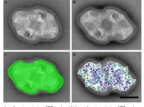 Figure 3 From Single Particle Electron Microscopy In Combination With Mass Spectrometry To