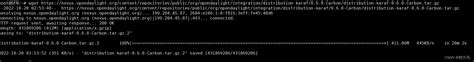 Sdn Opendaylight Mininet Csdn