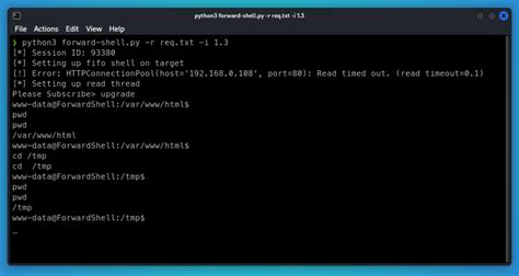 How To Spawn An Interactive Shell Behind The Firewall Payatu