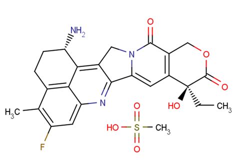 Exatecan Mesylate Topoisomerase