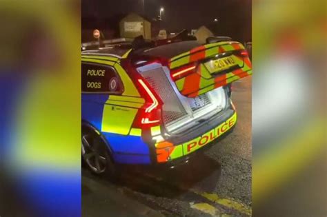 Sniffer Dog Hits Hanley In Latest Sting