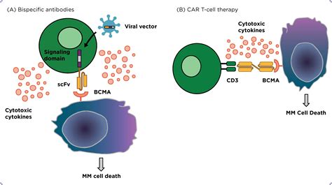 Multiple Myeloma
