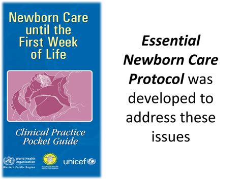 Solution Essential Newborn Care Studypool