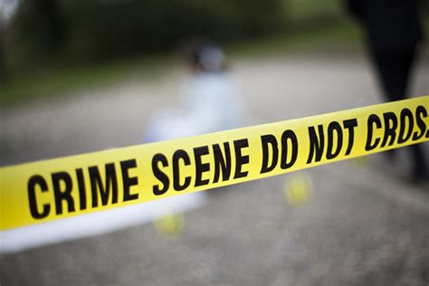 Truck Plows Into New Orleans Mardi Gras Parade 28 Injured