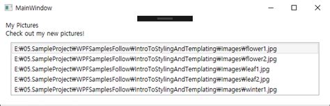 msdn wpf 샘플 따라하기 introtostylingandtemplating