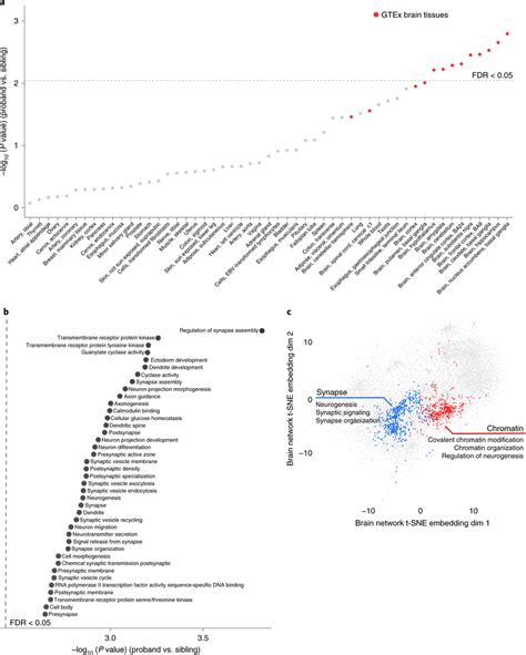 analysis of the effects of noncoding mutations converges on