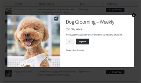 How To Set Up Woocommerce Recurring Payments Ways