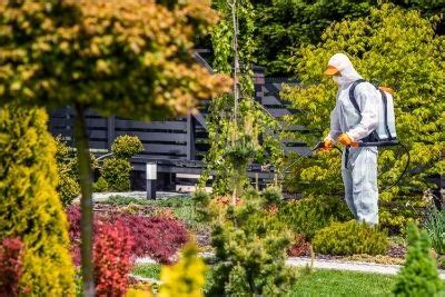 Using Weed Killer Safely Around Trees And Shrubs