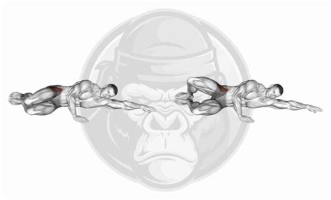 The 10 Best Hip Adductor Exercises Updated 2024 Jacked Gorilla The 10 Best Hip Adductor Exercises Updated 2024 Jacked Gorilla