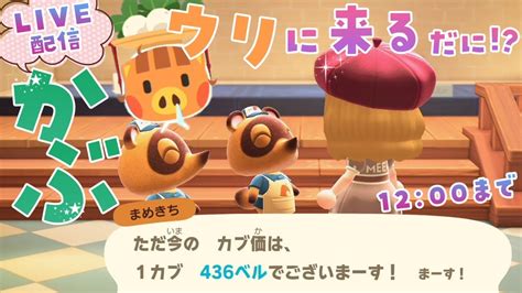 【あつ森】かぶ価436ベル！売りたい方いらっしゃ～い♪～まったりライブ配信【あつまれどうぶつの森】 Youtube