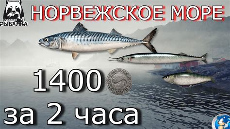 🌟НОРВЕЖСКОЕ МОРЕ🌟ФАРМ НА МЕЛКОЙ РЫБЕ🌟Русская Рыбалка 4РР4🌟 Youtube