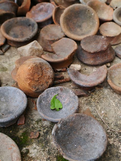 Free Images Rock Wood Leaf Pebble Soil Material Terracotta
