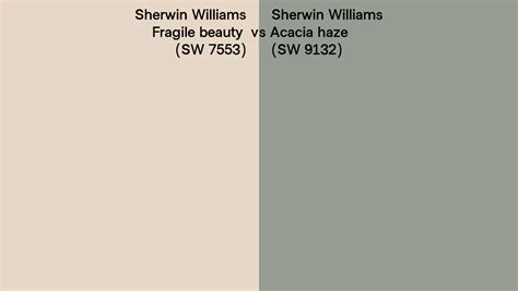Sherwin Williams Fragile Beauty Vs Acacia Haze Side By Side Comparison
