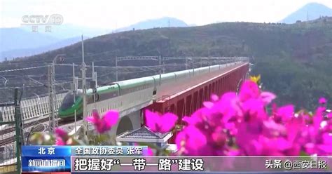 因类施策 推动共建“一带一路”行稳致远发展倡议中国