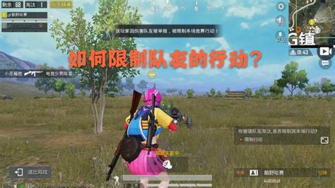 和平精英：遇到噁心人的隊友怎麼辦？教你一個辦法完美的制裁隊友 每日頭條
