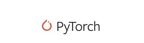 Pytorch常用操作 没有胡子的猫asimok