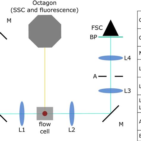 schematic drawing of the setup of the modified lsr ii the beam shaping