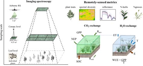 Remote Sensing Of Ecology Traits And Ecosystems Lab