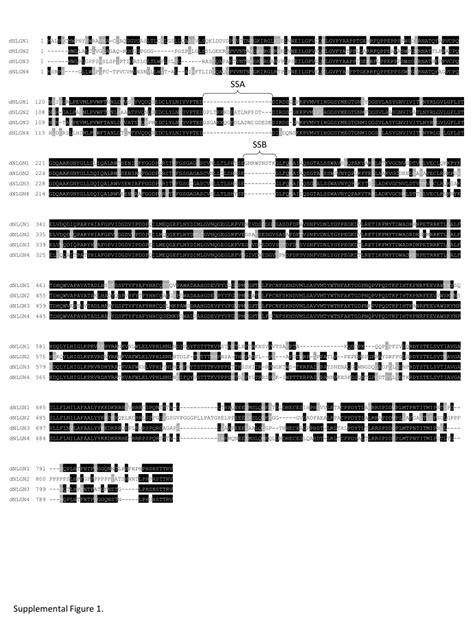 Pdf Testosterone Interrupts Binding Of Neurexin And Neuroligin That