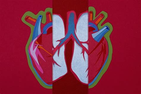 Scientists Find Big Cause And Warning Signs Of Arterial Blockage