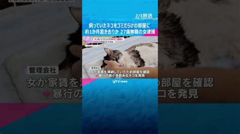 「引っ越しで世話を放棄」飼っていたネコをゴミだらけの部屋に約1か月置き去りか 27歳無職の女逮捕 Shorts 読売テレビニュース │