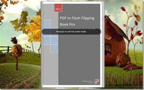 How To Set View Mode Of Flipping Book Without Control Bars Flash