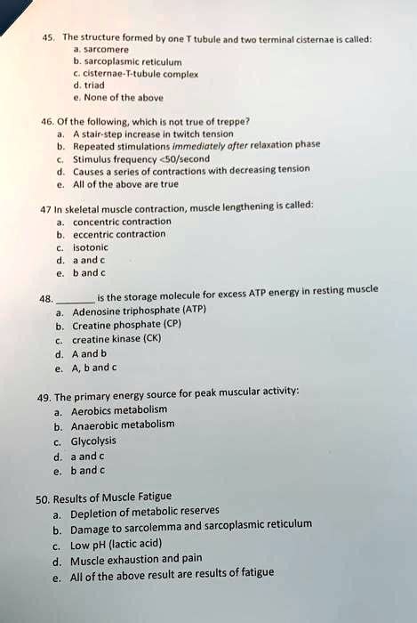 Solved 45 The Structure Formed By One T Tubule And Two Terminal Cisternae Is Called A