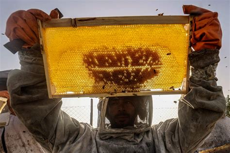 Hive Social Ahive Social Twitter Alternative Sees Huge Surge In