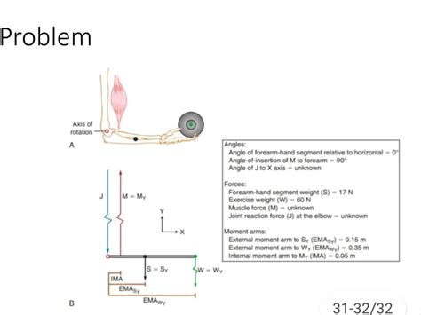 Solved Assignment Write And Describe Kinematic Analysis