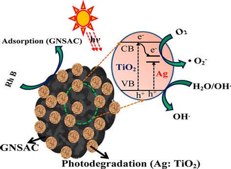 Schematic Of Enhanced Photocatalytic Activity For The Rhb Removal Of