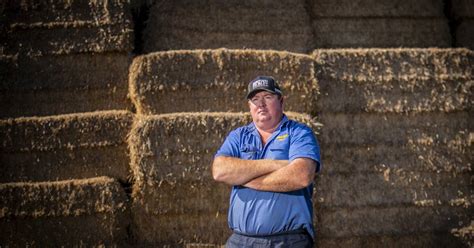Fire Ant Spread Has Hay Producers On Edge Nsw