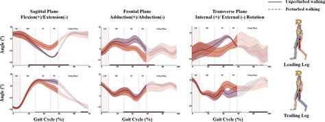 The Kinematic Patterns Of The Bilateral Hip Joints For All Subjects Download Scientific Diagram