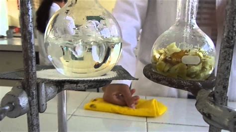 extracción de aceites esenciales por arrastre de vapor YouTube
