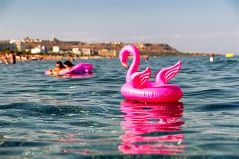 Premium Photo Pink Flamingo Inflatable On The Sea