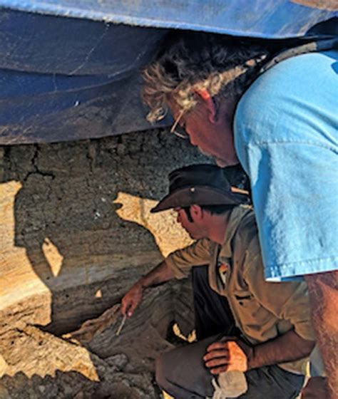 66 Million Year Old Deathbed Linked To Dinosaur Annihilating Meteor