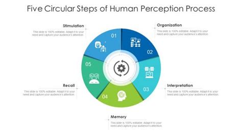 Human Perception Powerpoint Templates Slides And Graphics