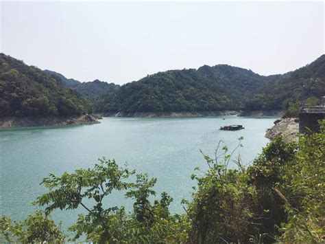 台電綠色債券慘被國際市場打槍 《華爾街日報》曝主因 財經 中時新聞網