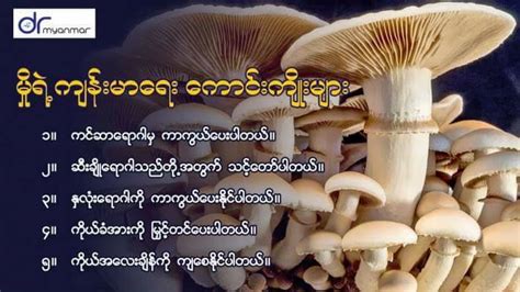 ေအာင္ႏိုင္ဦး မႈိ၏ က်န္းမာေရး ေကာင္းက်ိဳးမ်ား
