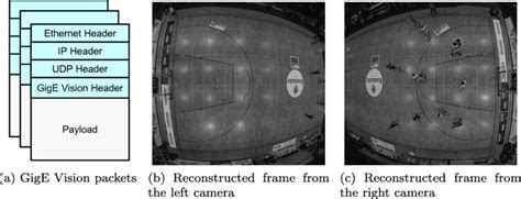 Reconstructed Raw Frames Bayer Pattern From Gige Vision Packets
