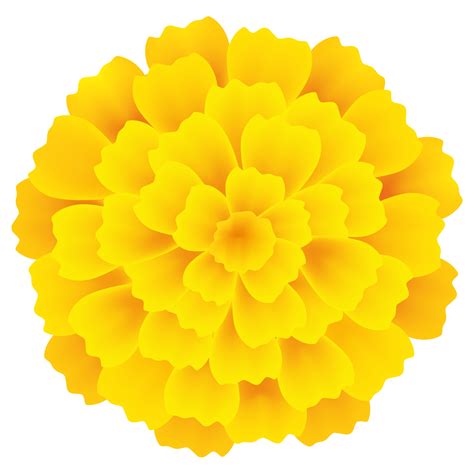 Flor De Cempasuchil Dia De Muertos Mexico Cempas Chil Dia De Muertos