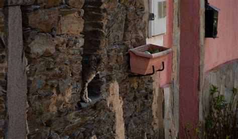 Murias De Paredes Es Siente Omaña