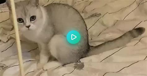 Making Fetch Happen Album On Imgur