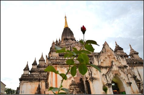 သက္ေဝ သာတဲ့ ပုုဂံေျမ ၅