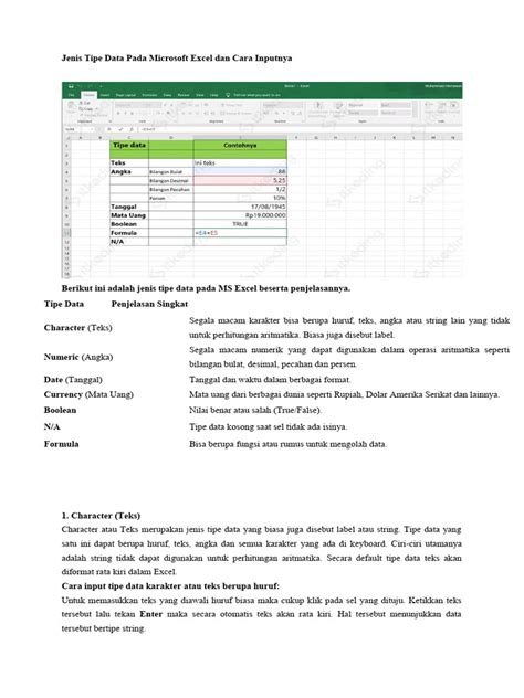 Jenis Tipe Data Pada Microsoft Excel Dan Cara Inputnya Pdf