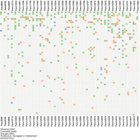 Mutational Landscape Of The Pancreas Carcinoma Pdx Cohort Using