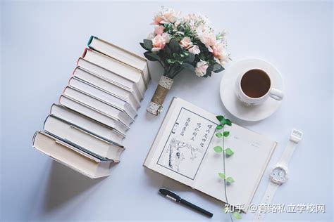 北京各小学招生人数情况集合来了，附2025年幼升小入学政策 知乎