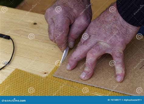 Honeycomb Base Stock Image Image Of Apiary Collect 70748977