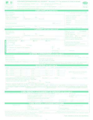 Remplissable En Ligne Editions Tissot Cerfa Contrat D Apprentissage