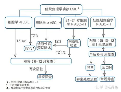 宫颈癌前病变 就诊策略 知乎