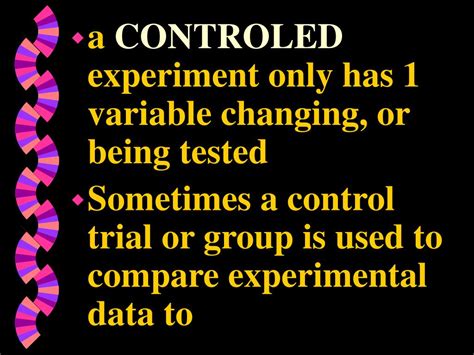 Ppt Data Collecting Organizing And Analyzing Powerpoint Presentation